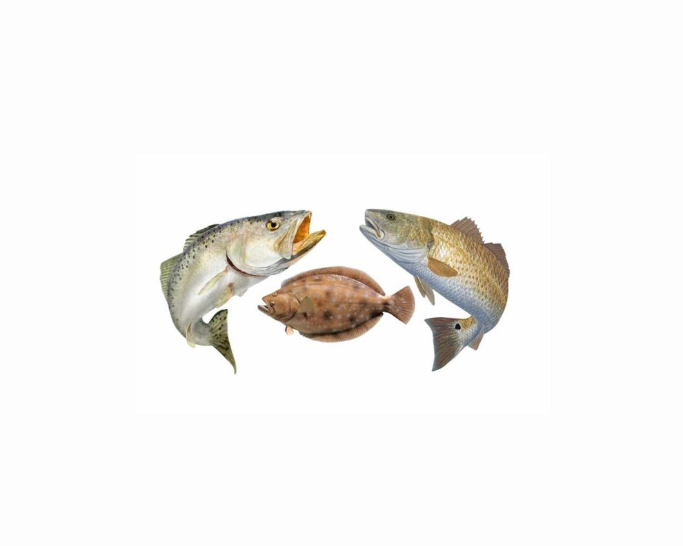 Inshore "slam" – Fish Flags USA